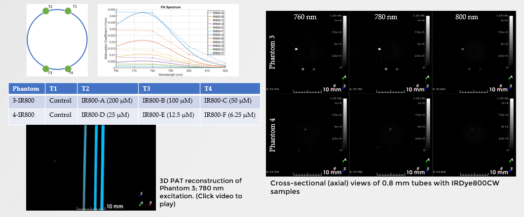 Contrast Agent Development – PhotoSound