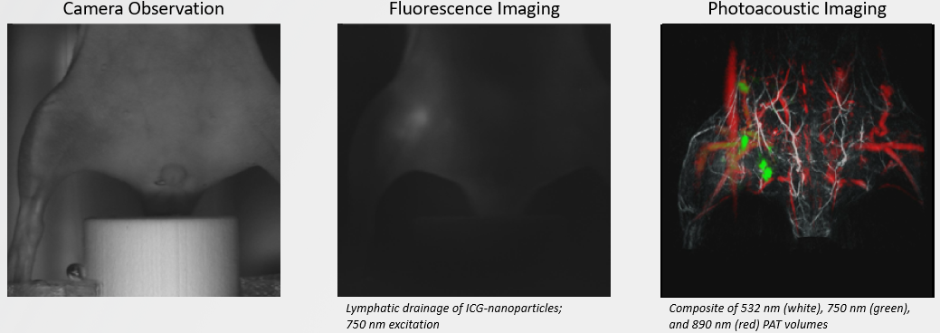 Multimodal Imaging Photosound
